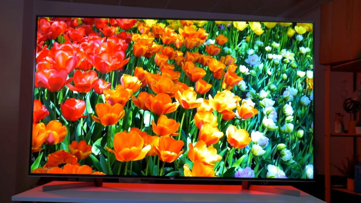 Sony XG95: análisis del diseño, características y precio