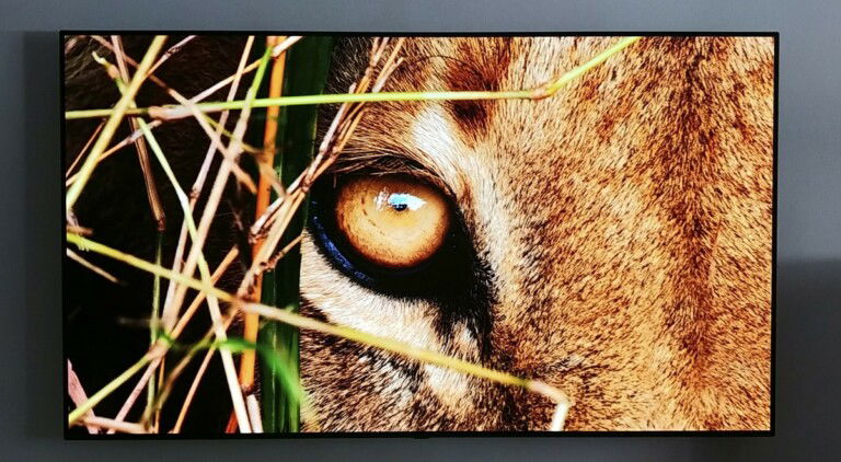 Descubre los codecs de vídeo más utilizados en la reproducción de alta ...