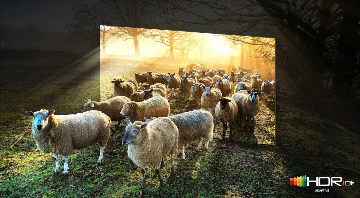 Samsung pone a la venta su mastodóntico televisor Neo QLED QN100B de 98 ...