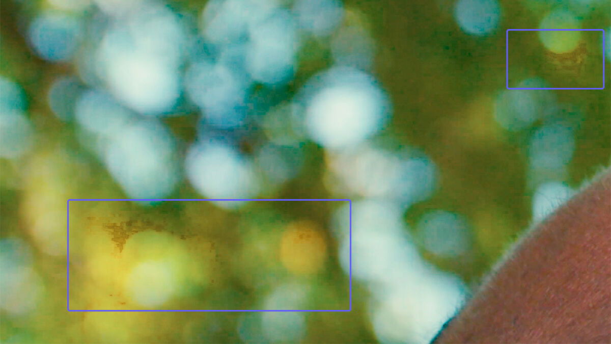 Por qué es tan importante la profundidad de bits del color en contenido SDR