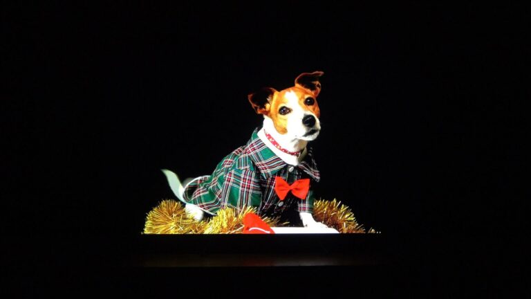 Review TCL C655 QLED: un televisor con Quantum Dots y una gran relación ...